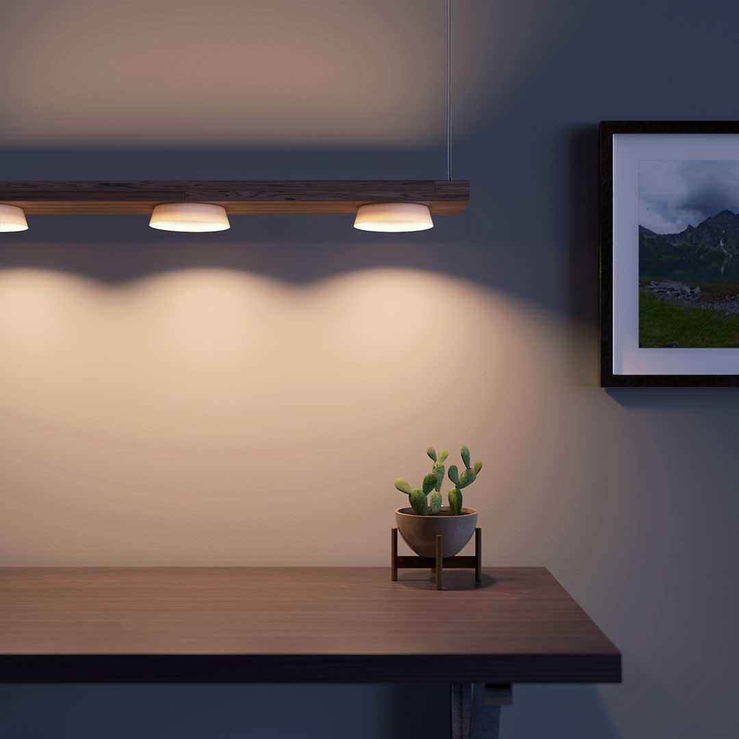 Radiance LPC-0140 Linear Pendant Light – Prism One